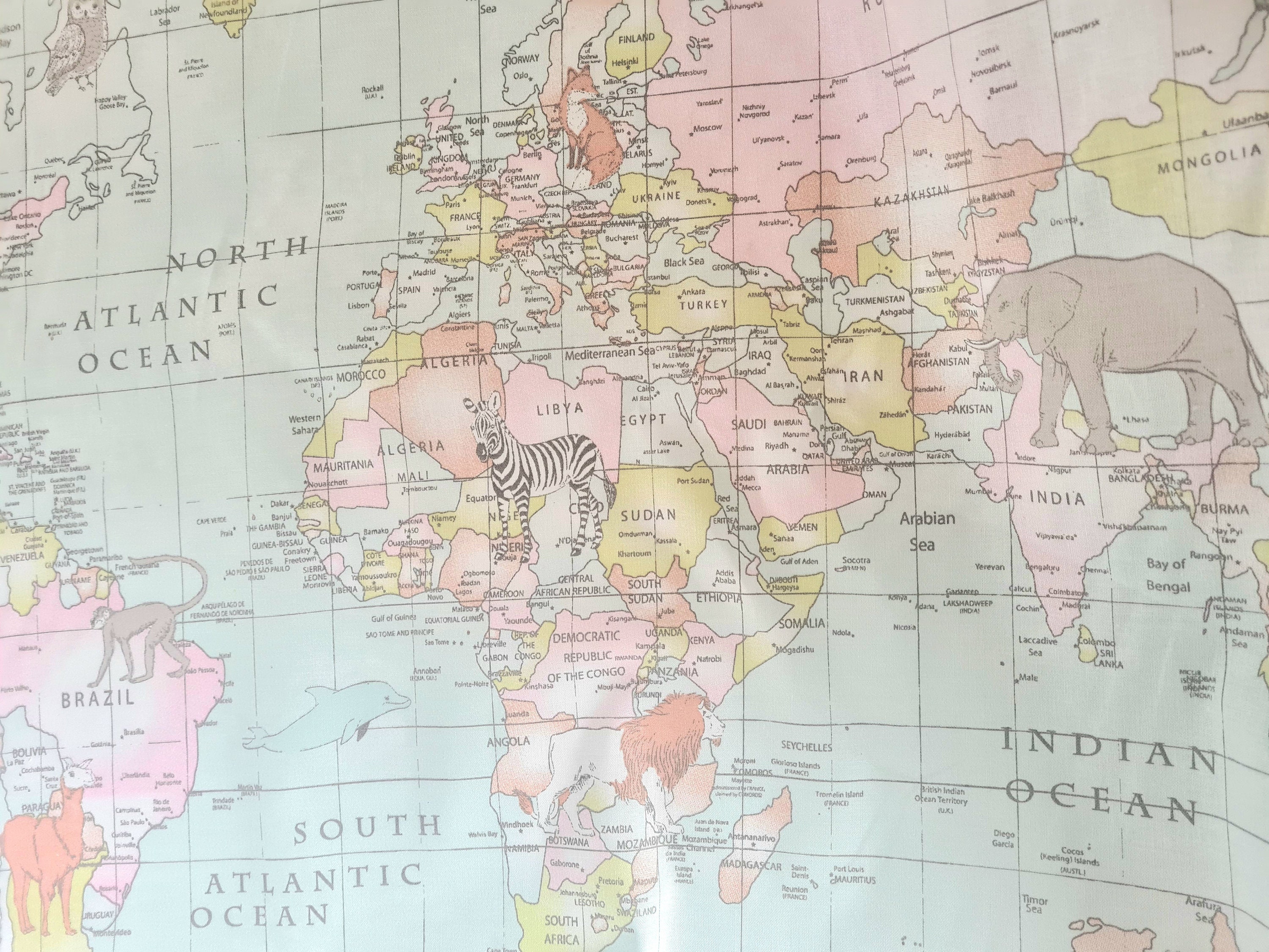 Cool World Map Graphic