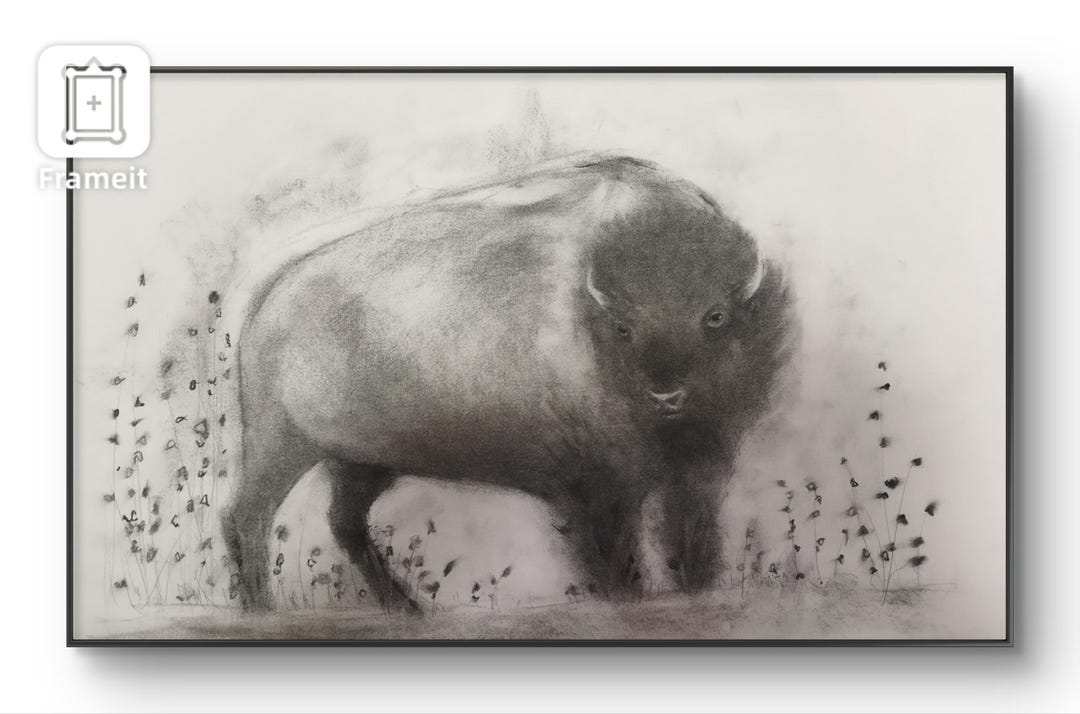 Bison. This is a Original Charcoal Drawing by Pantelstudio, Art ...