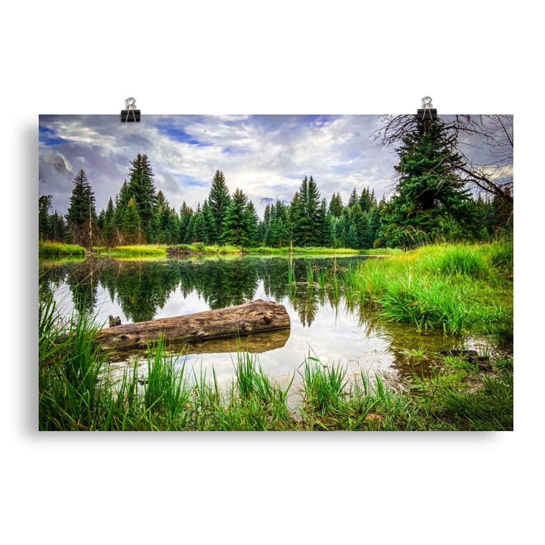 Log in a Lake - Etsy