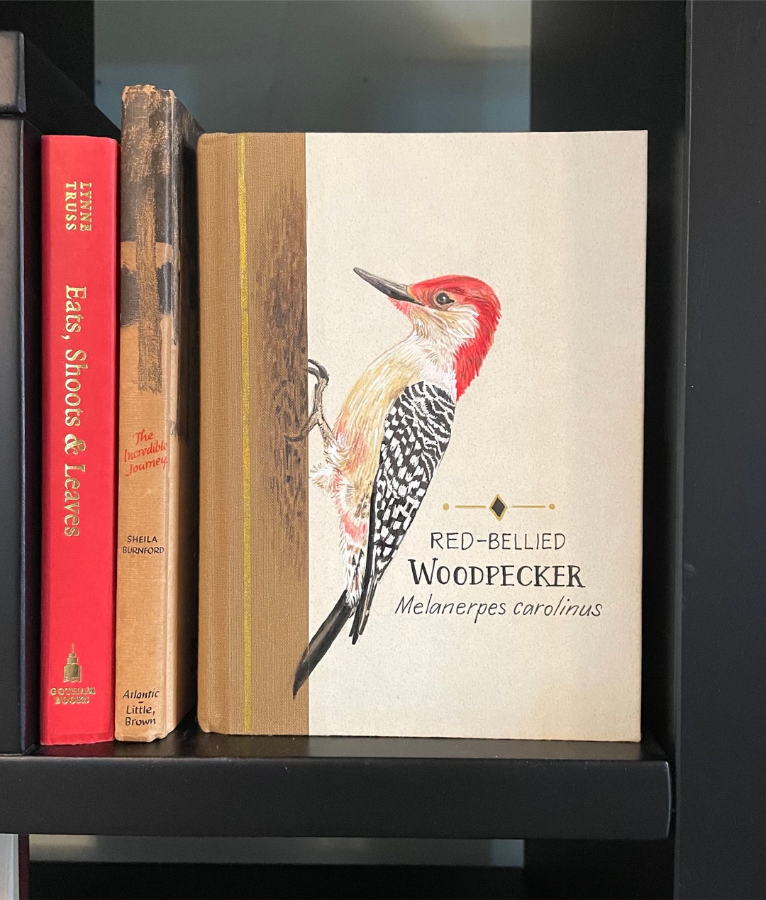 Hand Drawn/lettered Bookshelf/coffee Table Repurposed Bird Art Decor - Etsy