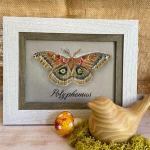 Hand Drawn/lettered Original Moth Drawing - Etsy