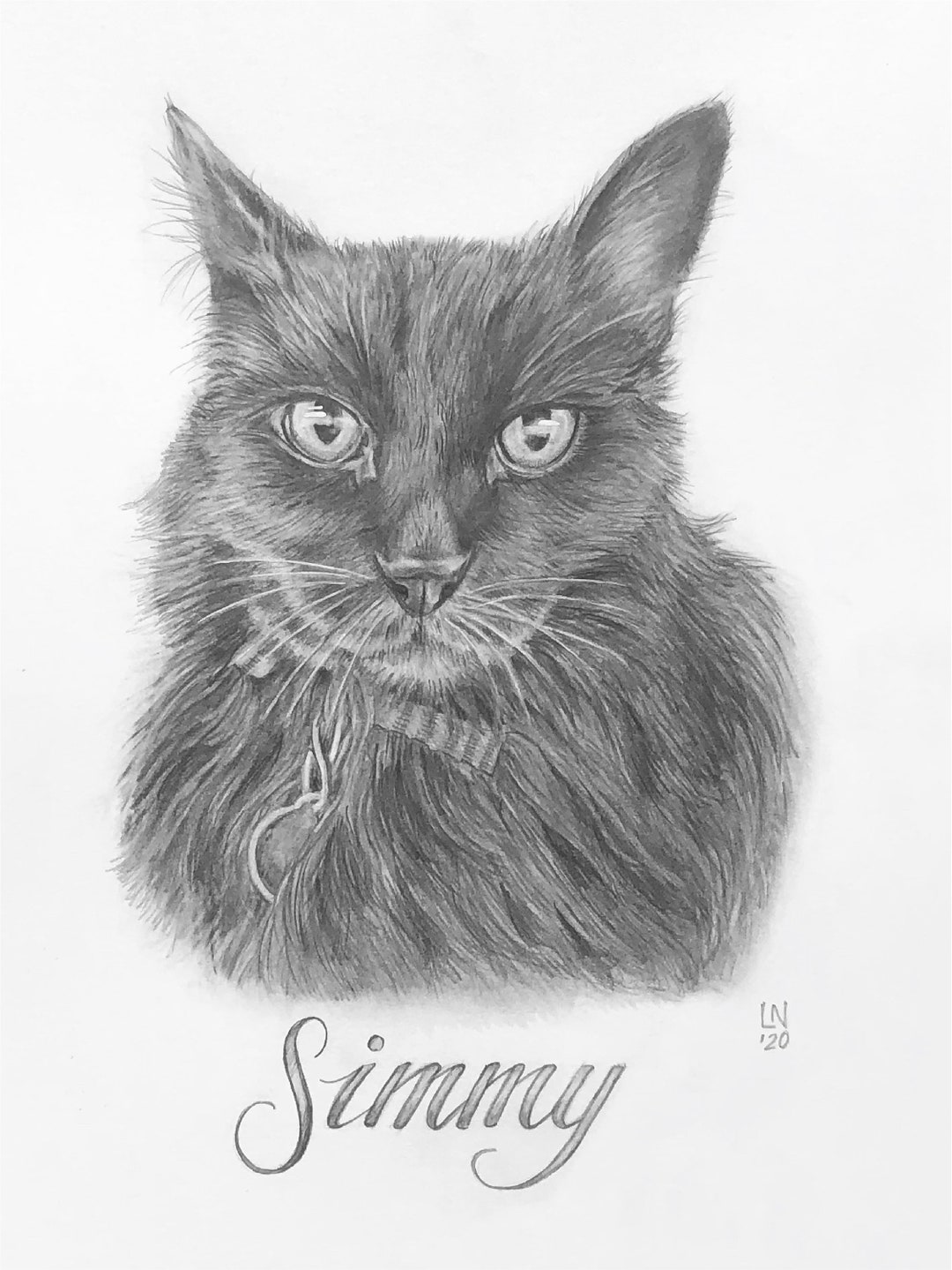 Custom Graphite Pet Portrait 11" X 14", Any Pet, Matted for 11" X 14 ...