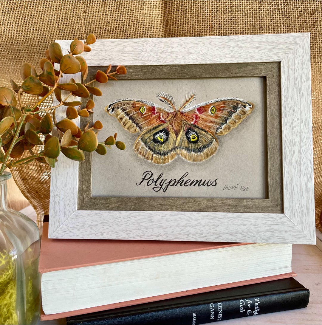 Hand Drawn/lettered Original Moth Drawing - Etsy