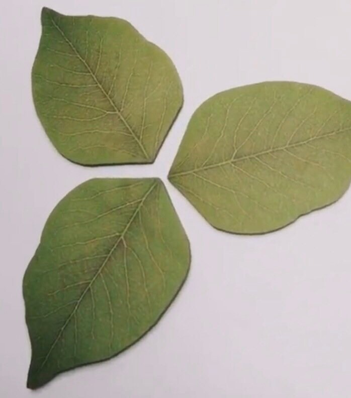 Realistic Green Leaf Sticky Memo Notes for Scrapbooking Page - Etsy UK