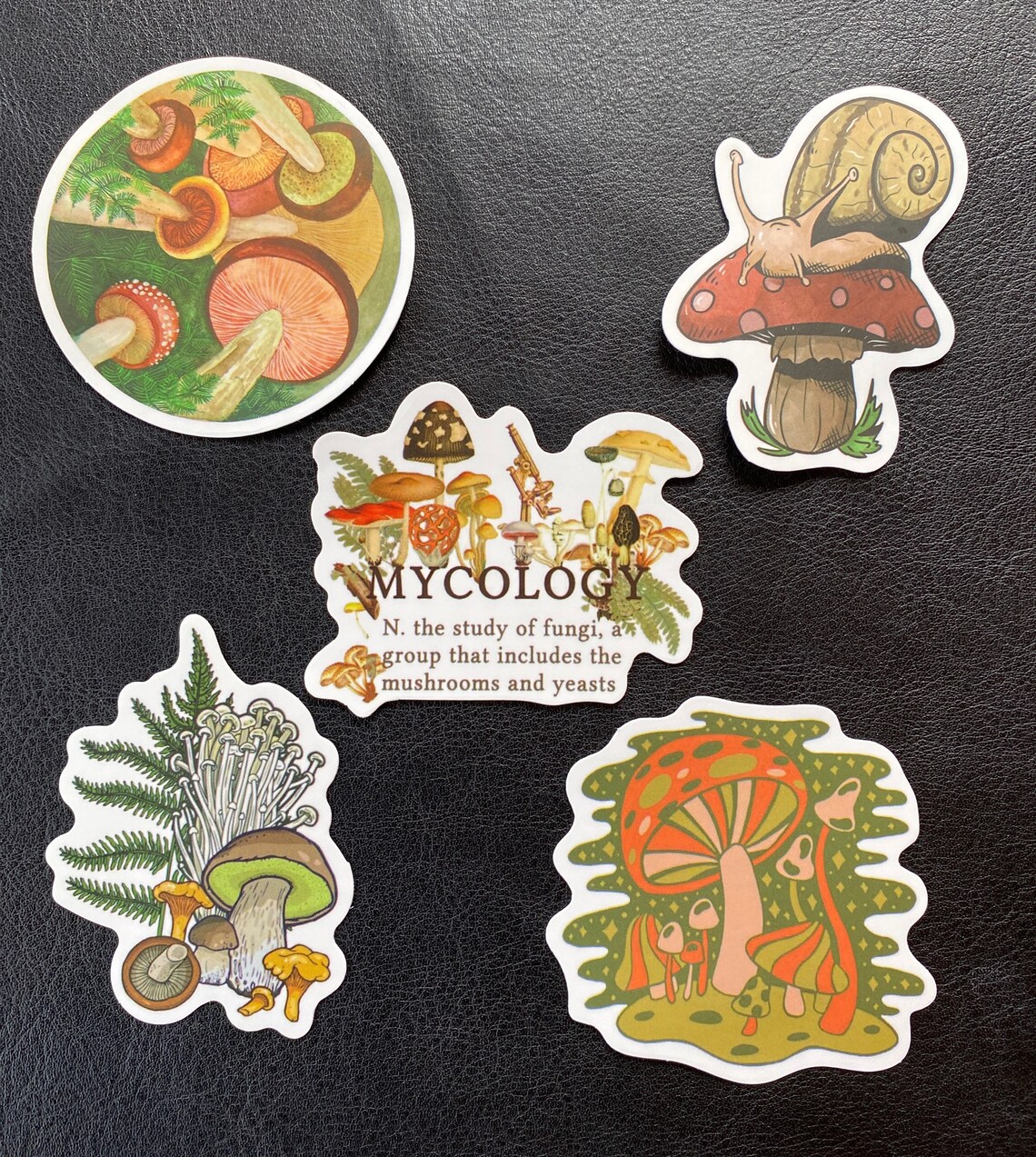 Sets of 5 Colourful Fungi Toadstool Mushroom Matte Stickers | Etsy UK