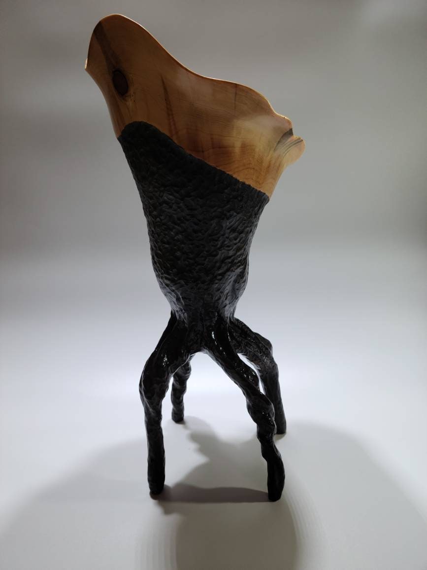 Beetle Kill Pine, Wood Bowl, Salad Bowl, Fruit Bowl, Wood Art, Texture ...