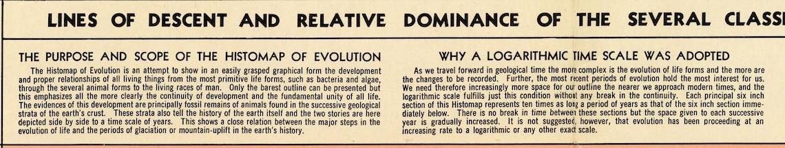 Histomap of Evolution Timeline Poster Chart - Gifts for Researchers ...