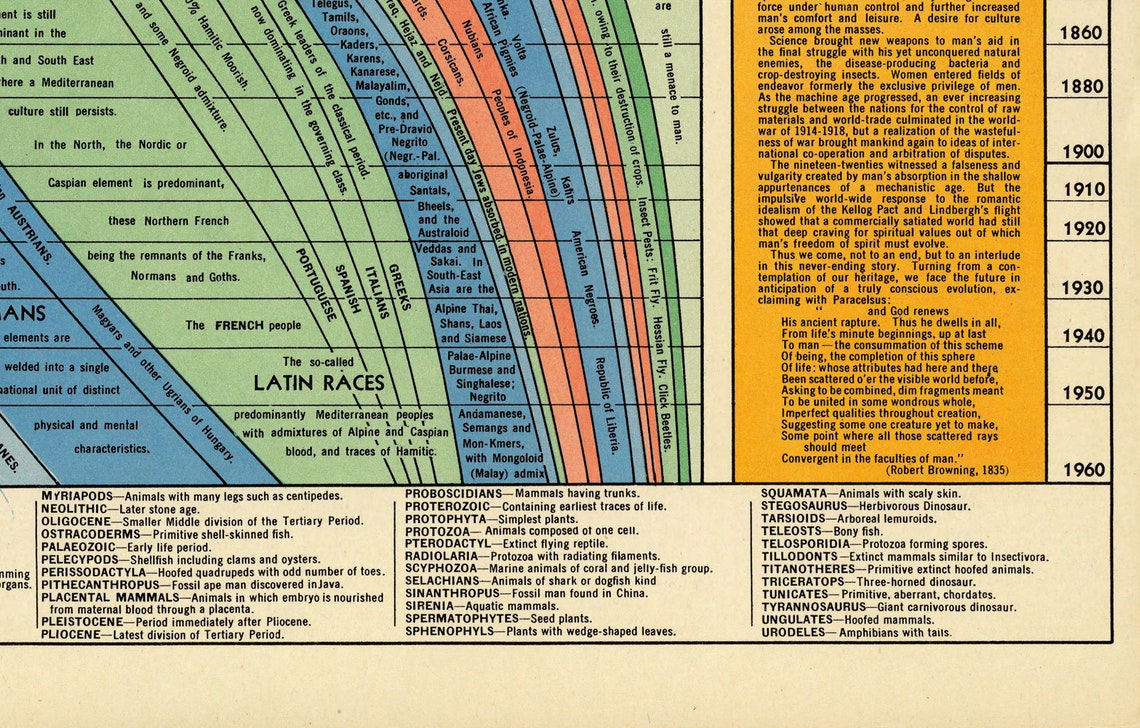 Histomap of Evolution Timeline Poster Earth Life Mankind | Etsy