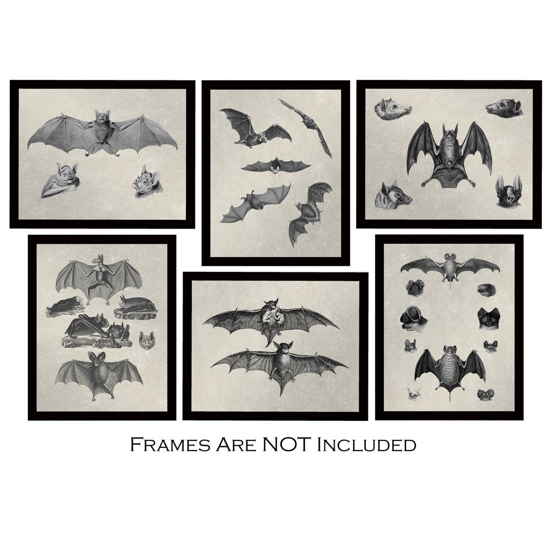 Bat Decor Gothic Witchy Gifts Vampire Art Goth Weirdcore 6 8x10 ...
