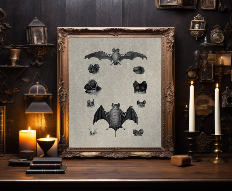 6 Bat Skeleton Art Prints With Frames - Victorian Gothic Decor Dark ...