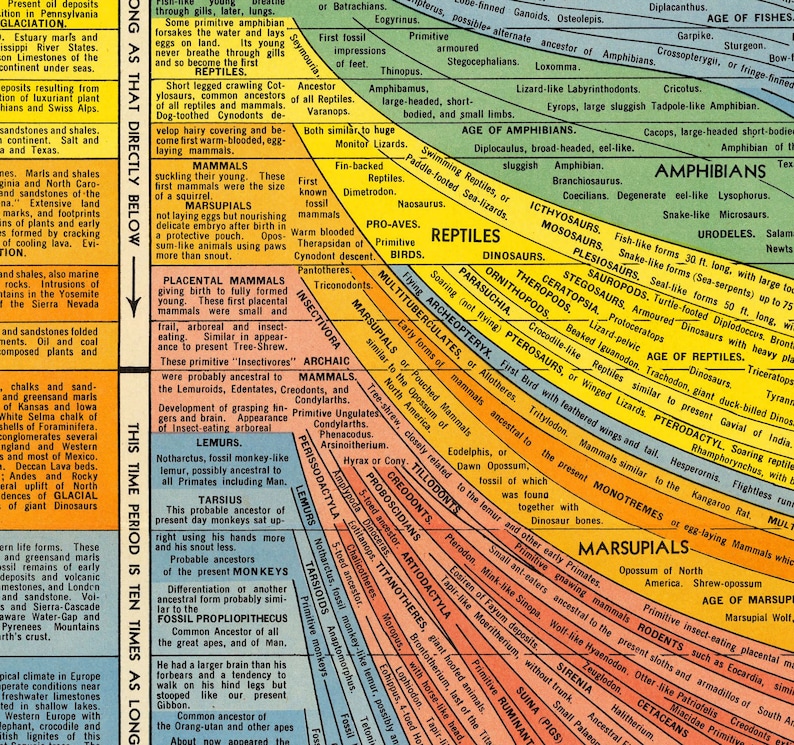 Histomap of Evolution Timeline Poster Earth Life Mankind - Etsy Hong Kong
