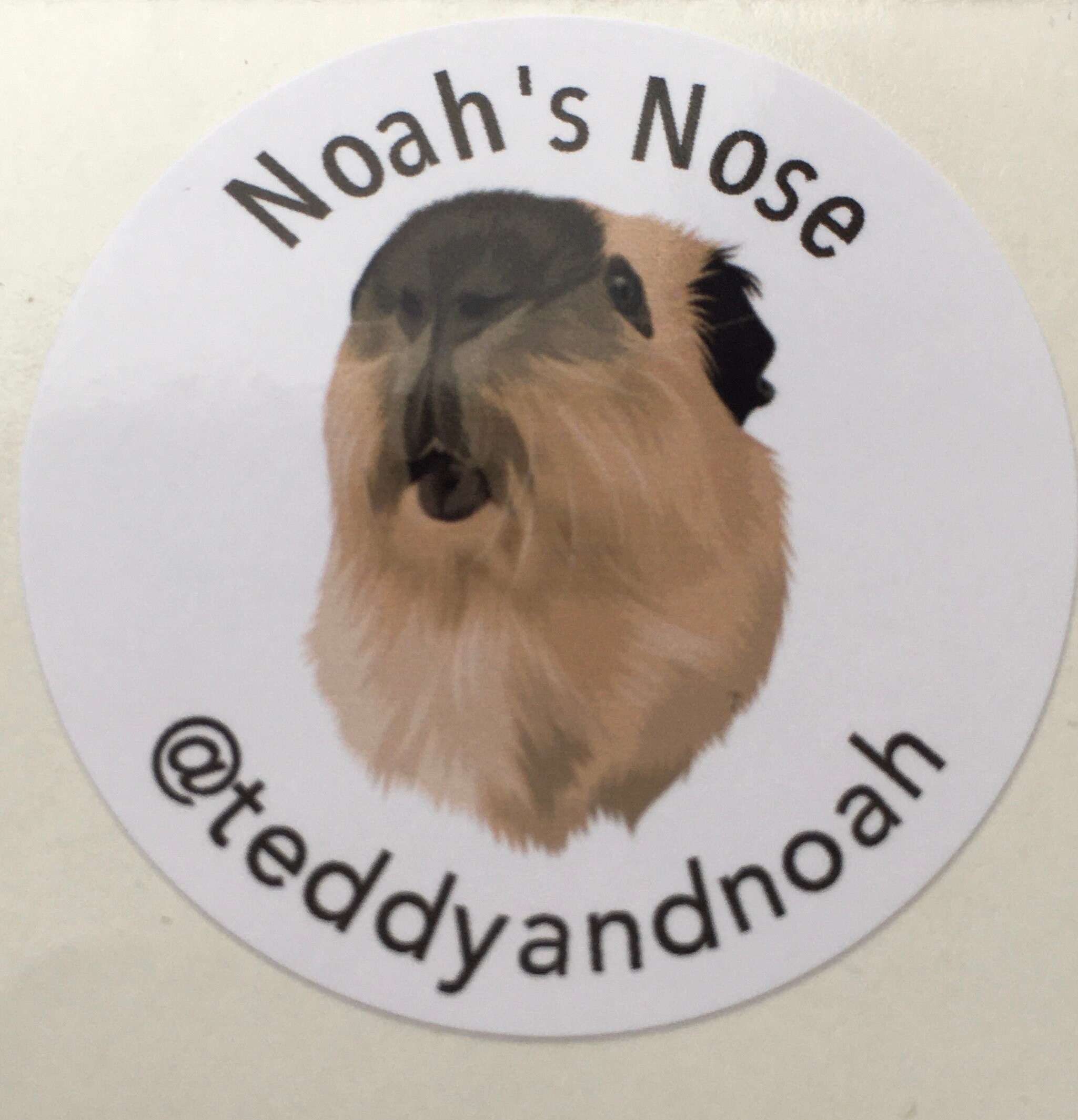 Noah’s Nose Sticker and Badge Set - Etsy