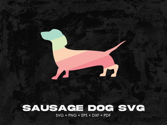 Colourful Sausage Dog Svg | Etsy