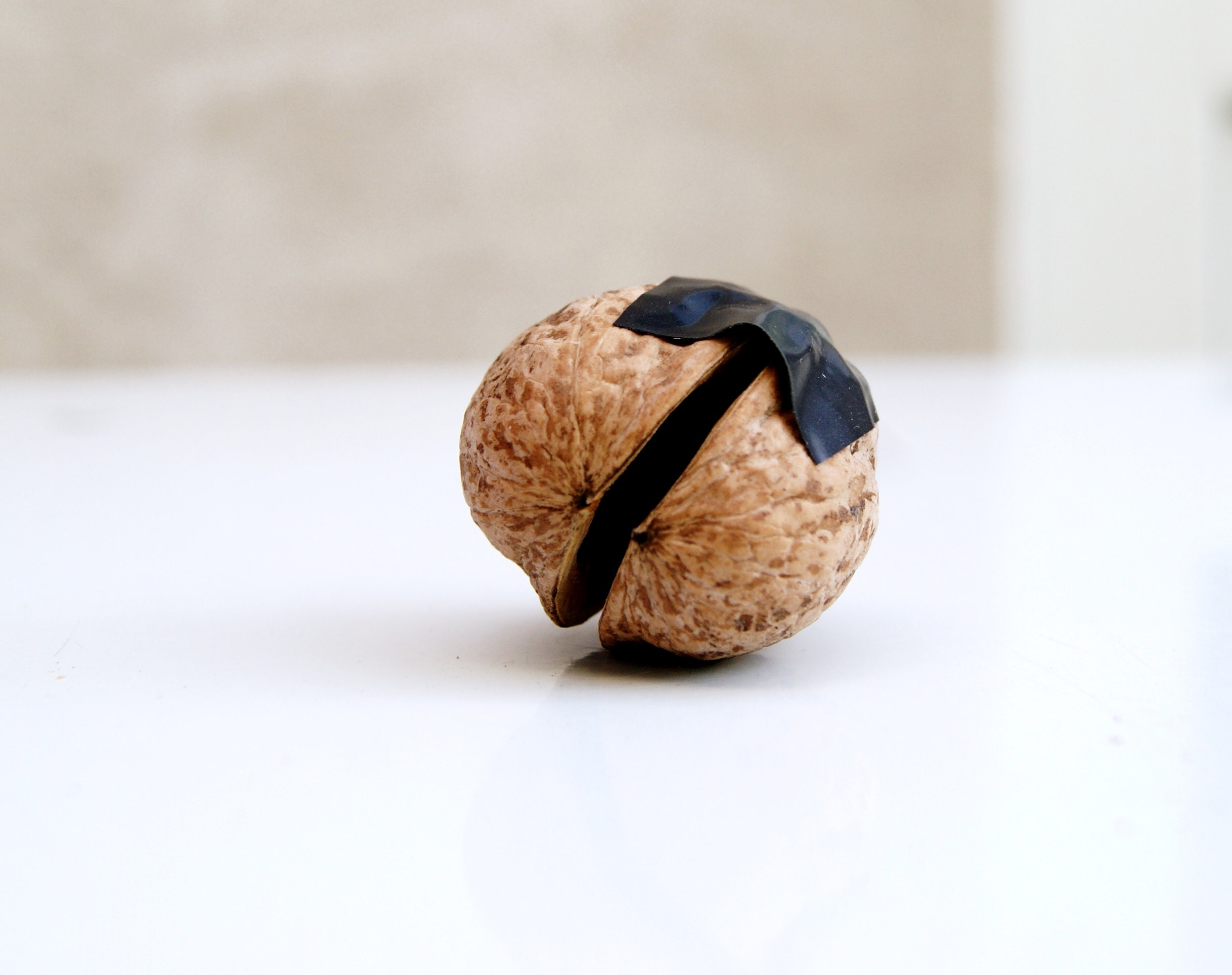 Walnut Shell Halves Paired Walnut Shell Box Natural Walnut - Etsy UK