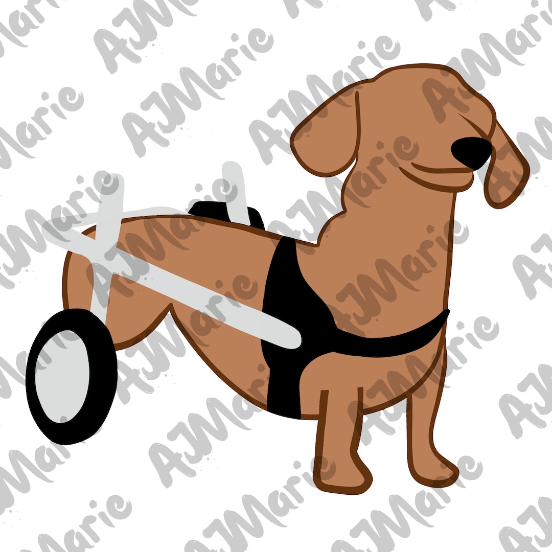 Daschund Wheelchair Dog Decal, IVDD Dog, Wheelchair Dog, Special Needs ...