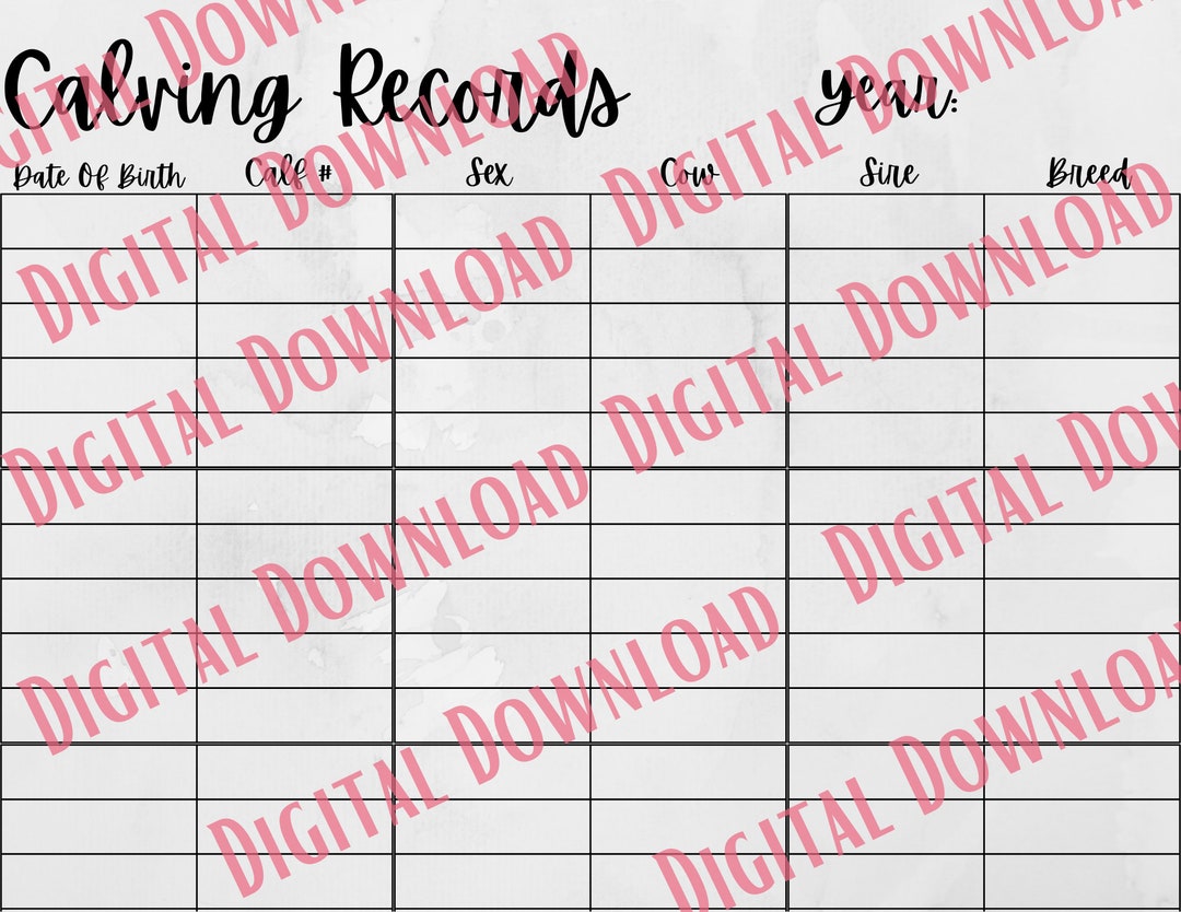 Cattle Recordkeeping Files - Calving Record - Etsy