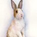 Dutch Bunny Rabbit Painting, Bunny Rabbit Watercolor, Original Bunny ...