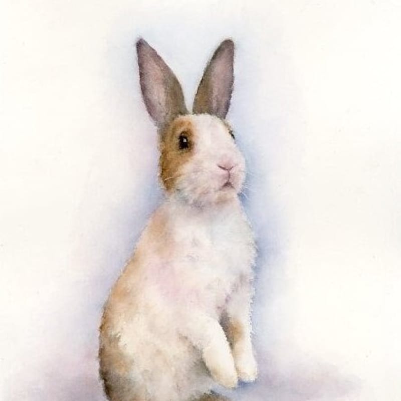 Rabbit Watercolor - Etsy