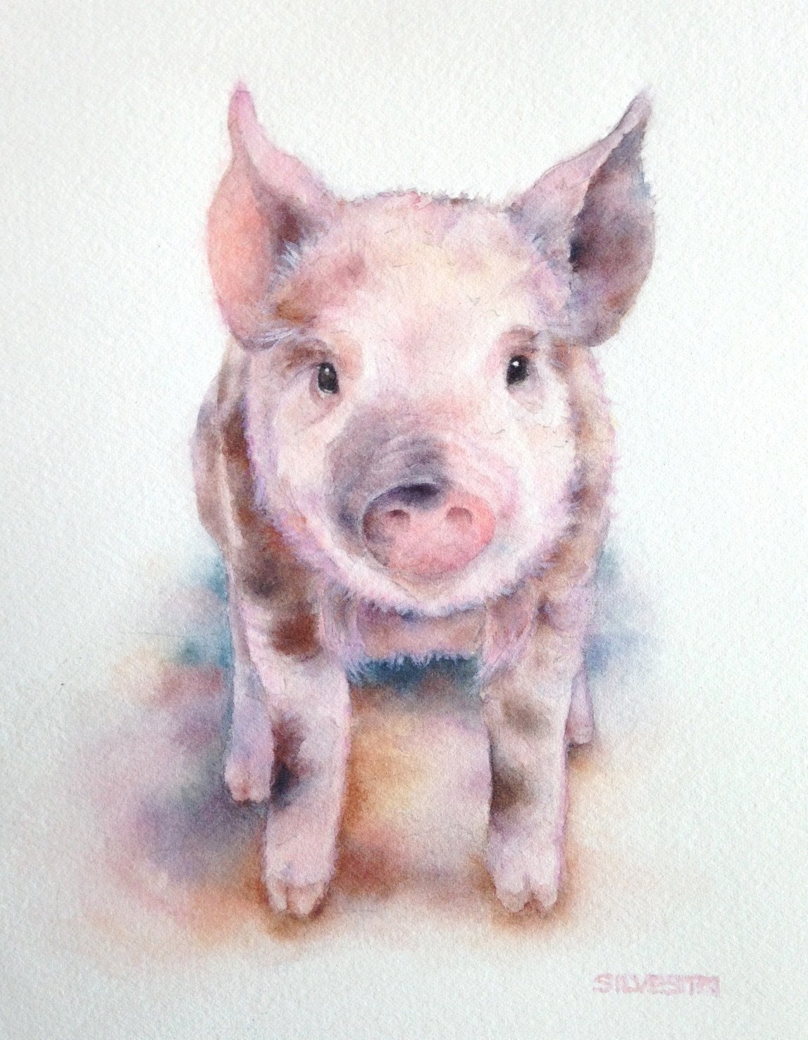 Pig Print Pig Art Print Piglet Artwork Baby Piglet Farm - Etsy