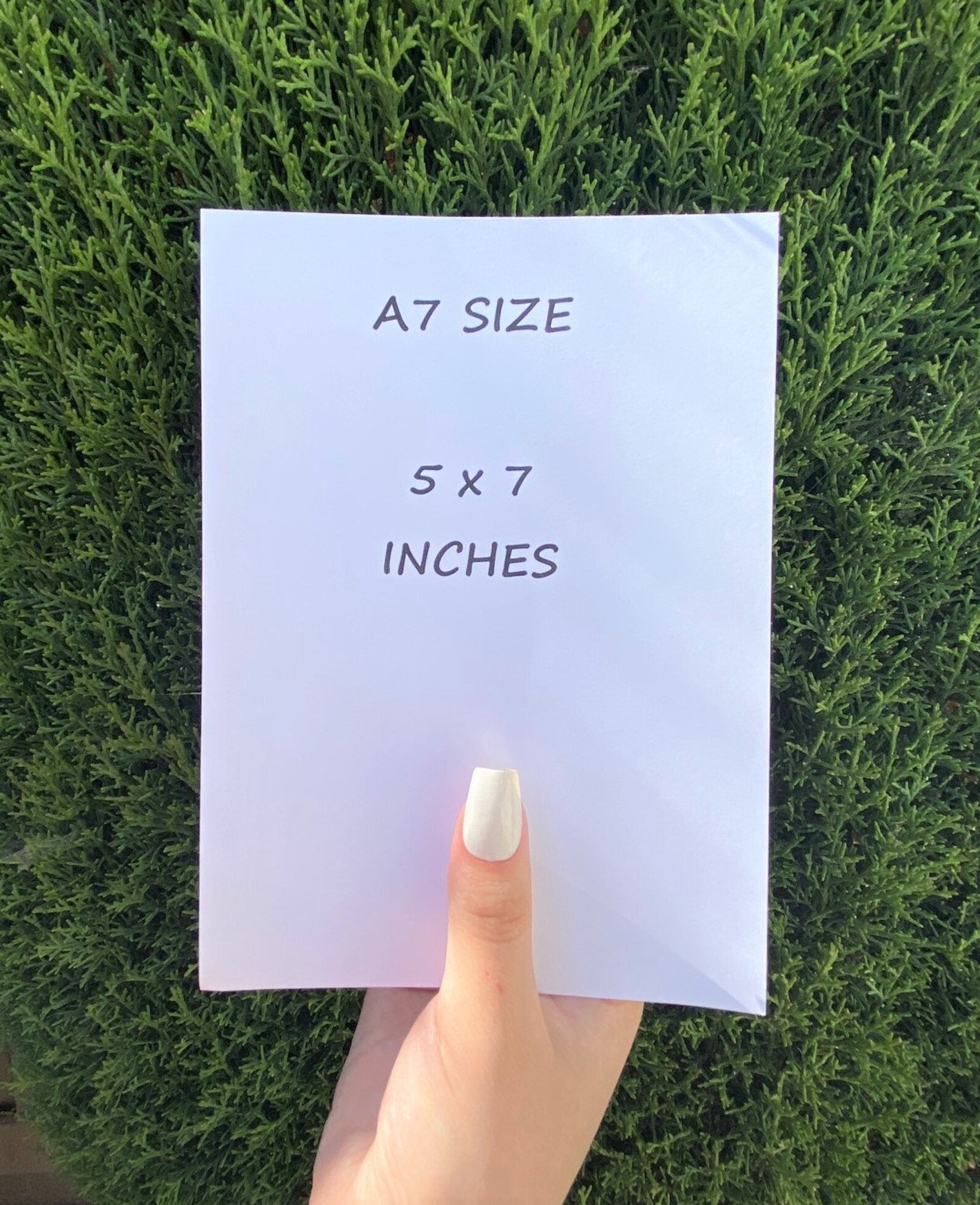 Cow Card Cow Greeting Card Cow and Calf Art Cow Art on - Etsy