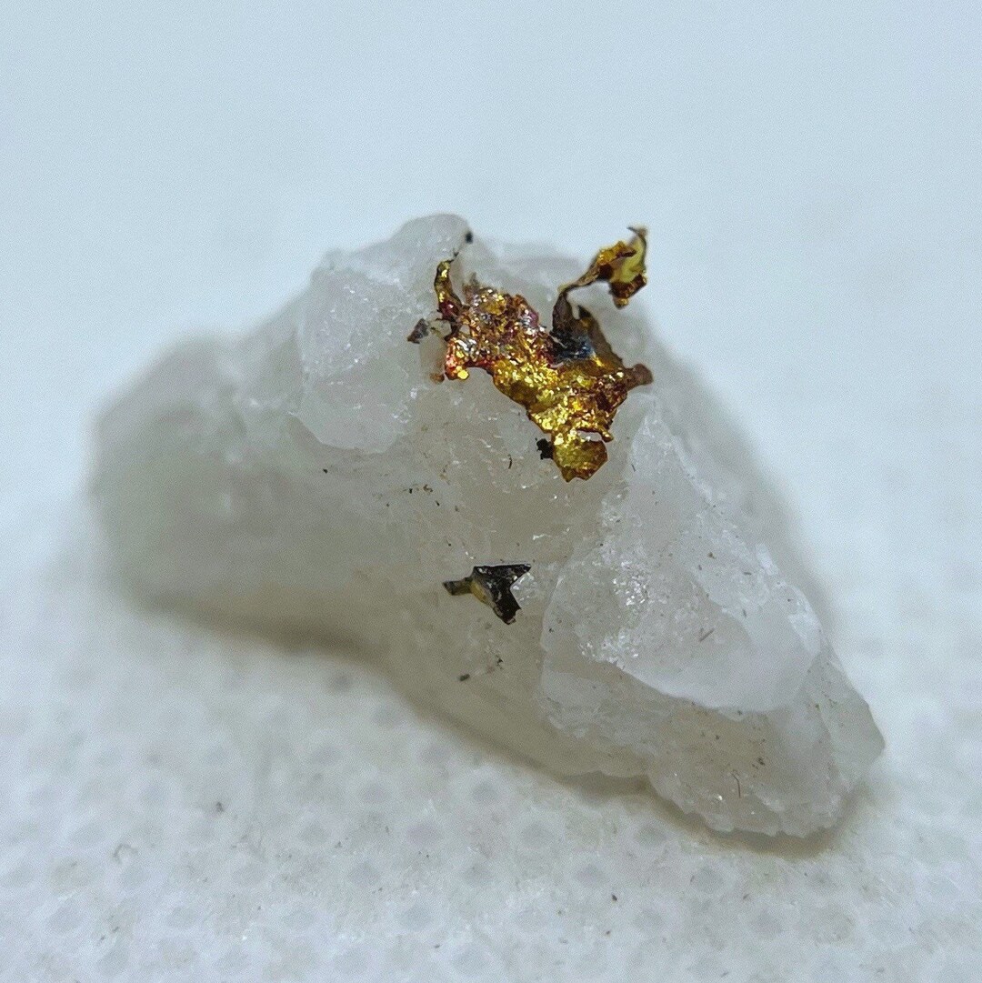 Natural Native Gold in Quartz Rough Crystal From Oriental Mine ...