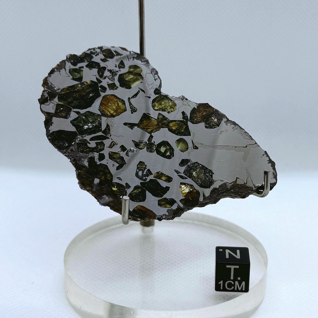 Authentic Seymchan Pallasite Meteorite Slice – Polished Iron-olivine ...