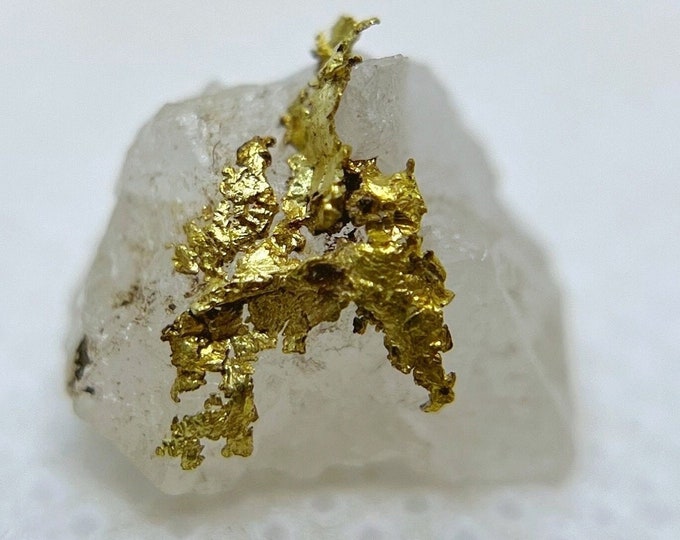 Natural Native Gold in Quartz Rough Crystal From Oriental Mine ...