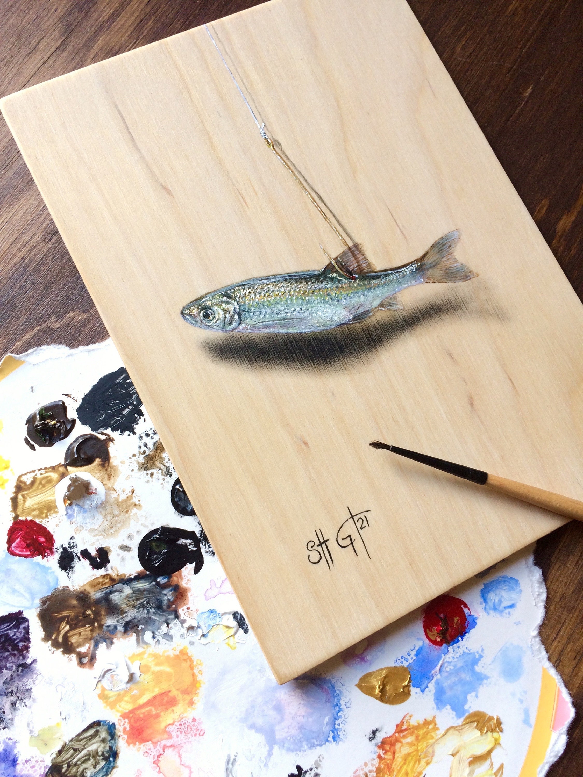 Live Minnow Painting Print Fine Art Crappie Minnow | Etsy