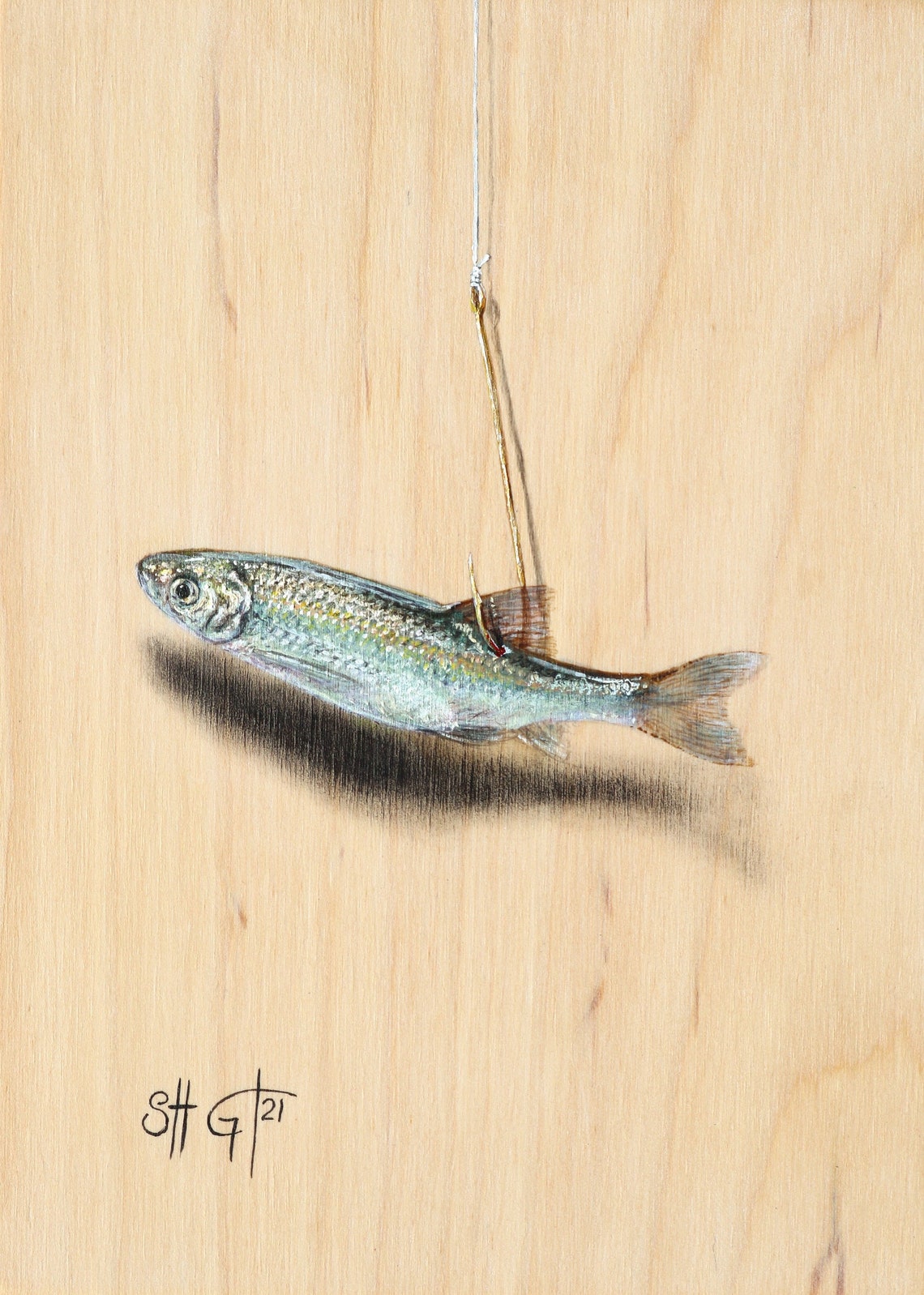 Live Minnow Painting Print Fine Art, Crappie Minnow Painting, Fishing ...