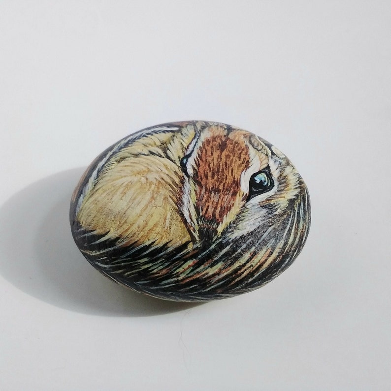 Chipmunk Painted Stone - Chipmunk Rock - Acrylic Painting - Wildlife ...