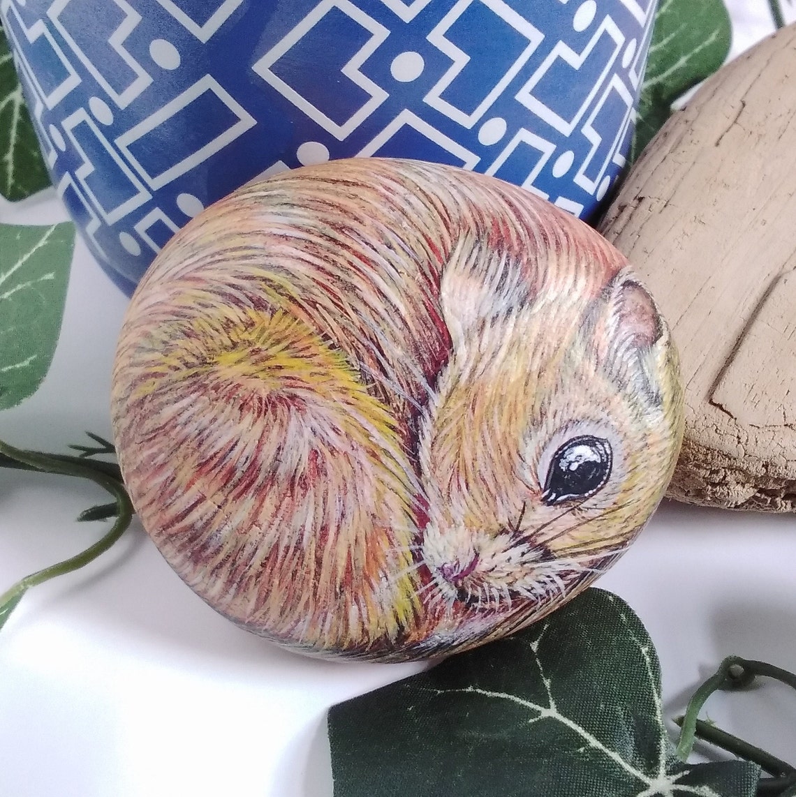 Squirrel Painted Stone Squirrel Rock Acrylic Painting - Etsy