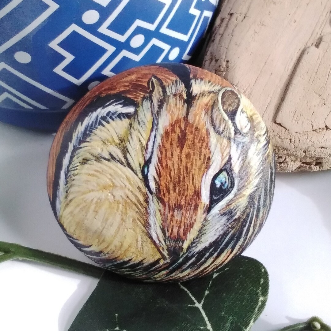Chipmunk Painted Stone - Chipmunk Rock - Acrylic Painting - Wildlife ...