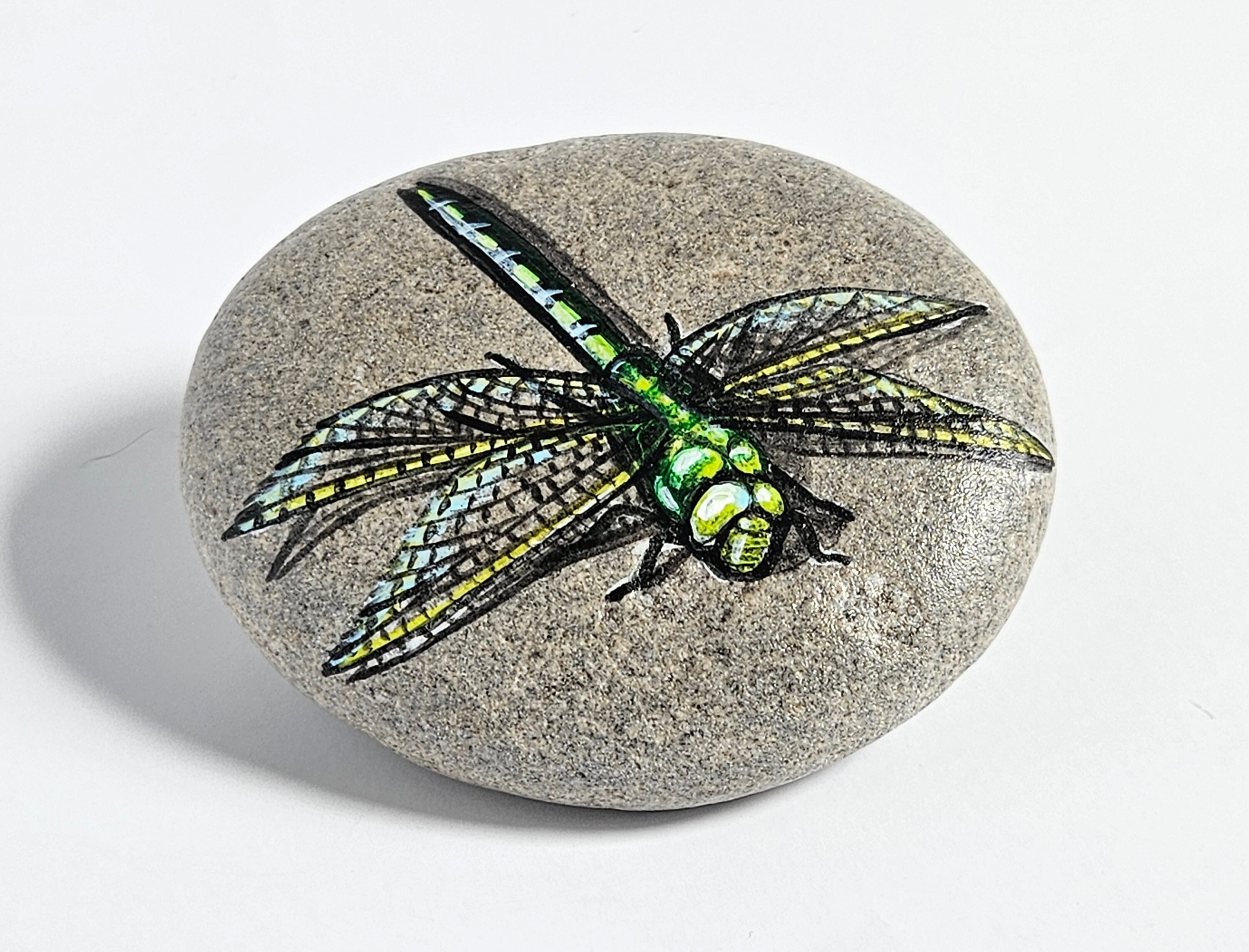 Green Dragonfly Garden Rock Dragonfly Painted Stone Garden Decor ...