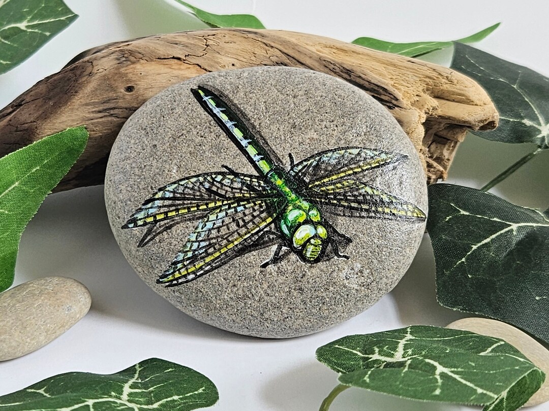 Green Dragonfly Garden Rock Dragonfly Painted Stone Garden Decor ...