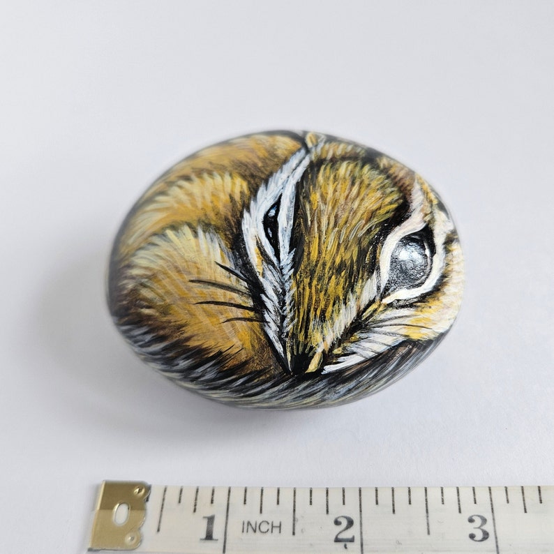 Chipmunk Garden Rock - Chipmunk Painted Stone - Wildlife Painting ...