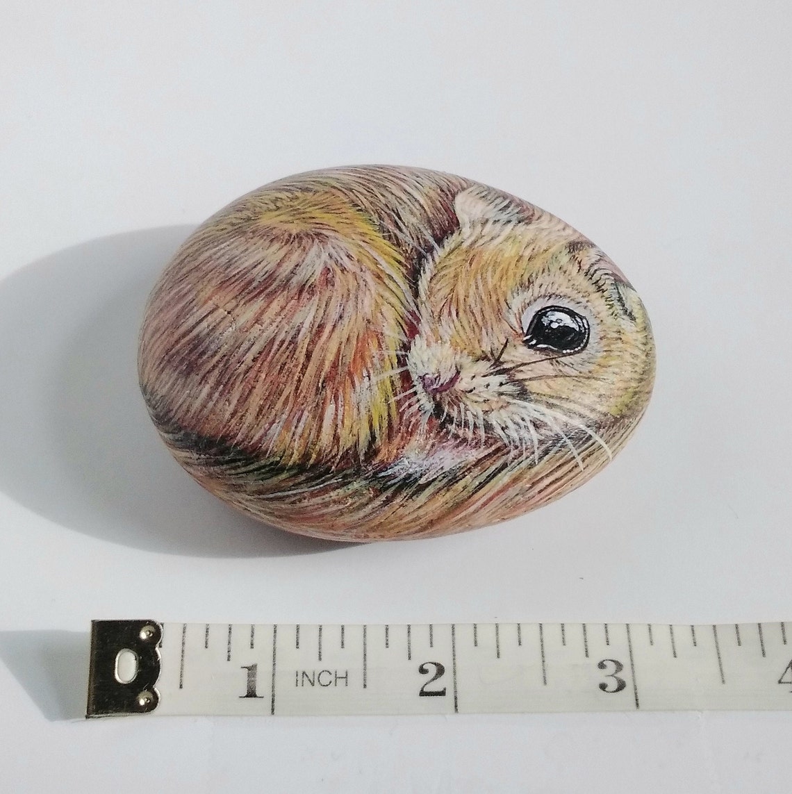 Squirrel Painted Stone Squirrel Rock Acrylic Painting - Etsy