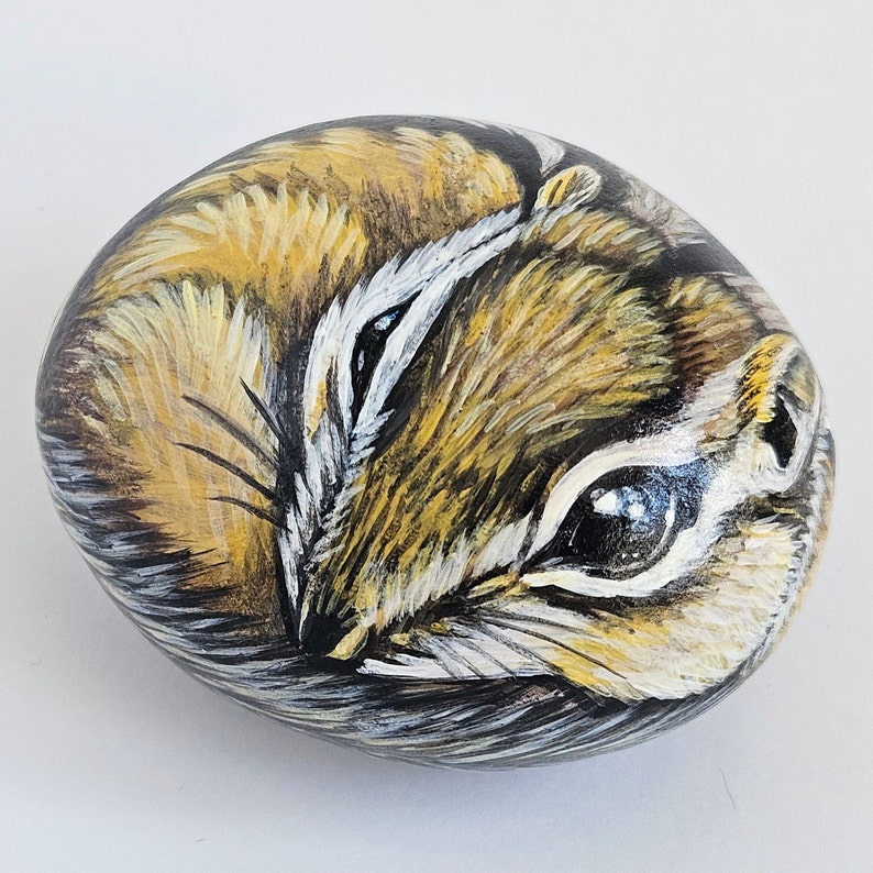 Chipmunk Garden Rock - Chipmunk Painted Stone - Wildlife Painting ...