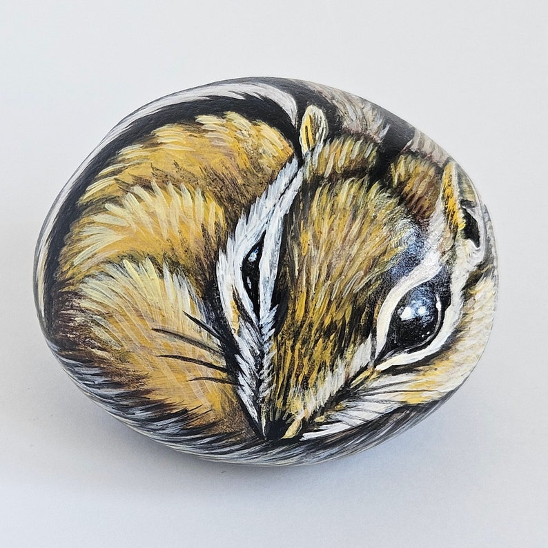 Chipmunk Garden Rock - Chipmunk Painted Stone - Wildlife Painting ...