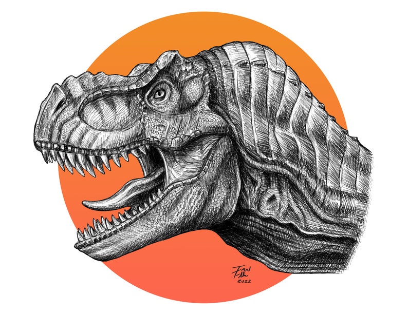 Tyrannosaurus Rex Drawing, Fine Art Print, T-rex, Dinosaur, Jurassic ...