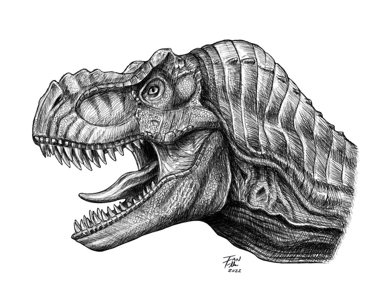 Tyrannosaurus Rex Drawing, Fine Art Print, T-rex, Dinosaur, Jurassic ...