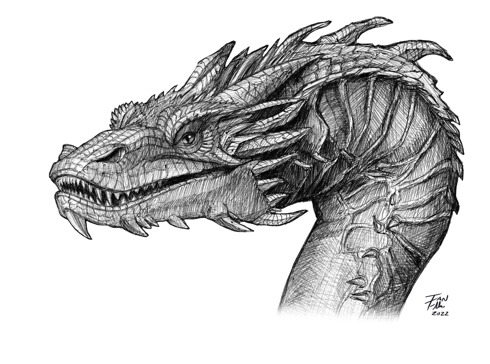 Smaug Drawing, Fine Art Print, the Hobbit, Dragon, Lord of the Rings ...