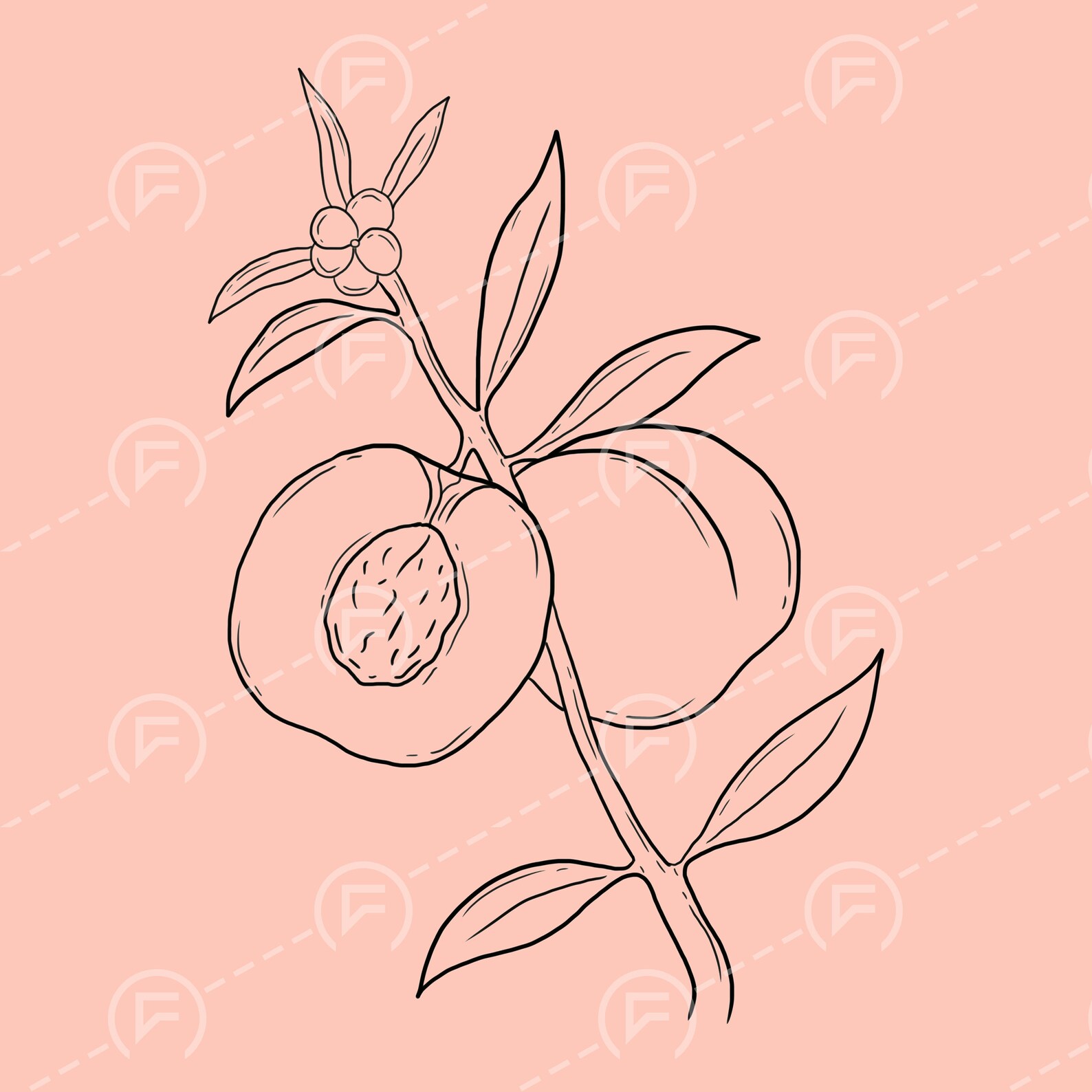 Peach Branch, Botanical, Simple Line Art, Line Art, Drawing, Digital ...