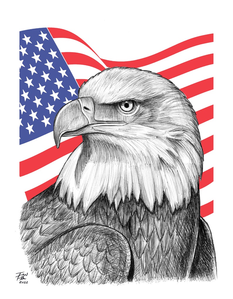 Bald Eagle Drawing, America, United States, Patriotism, Fine Art Print ...