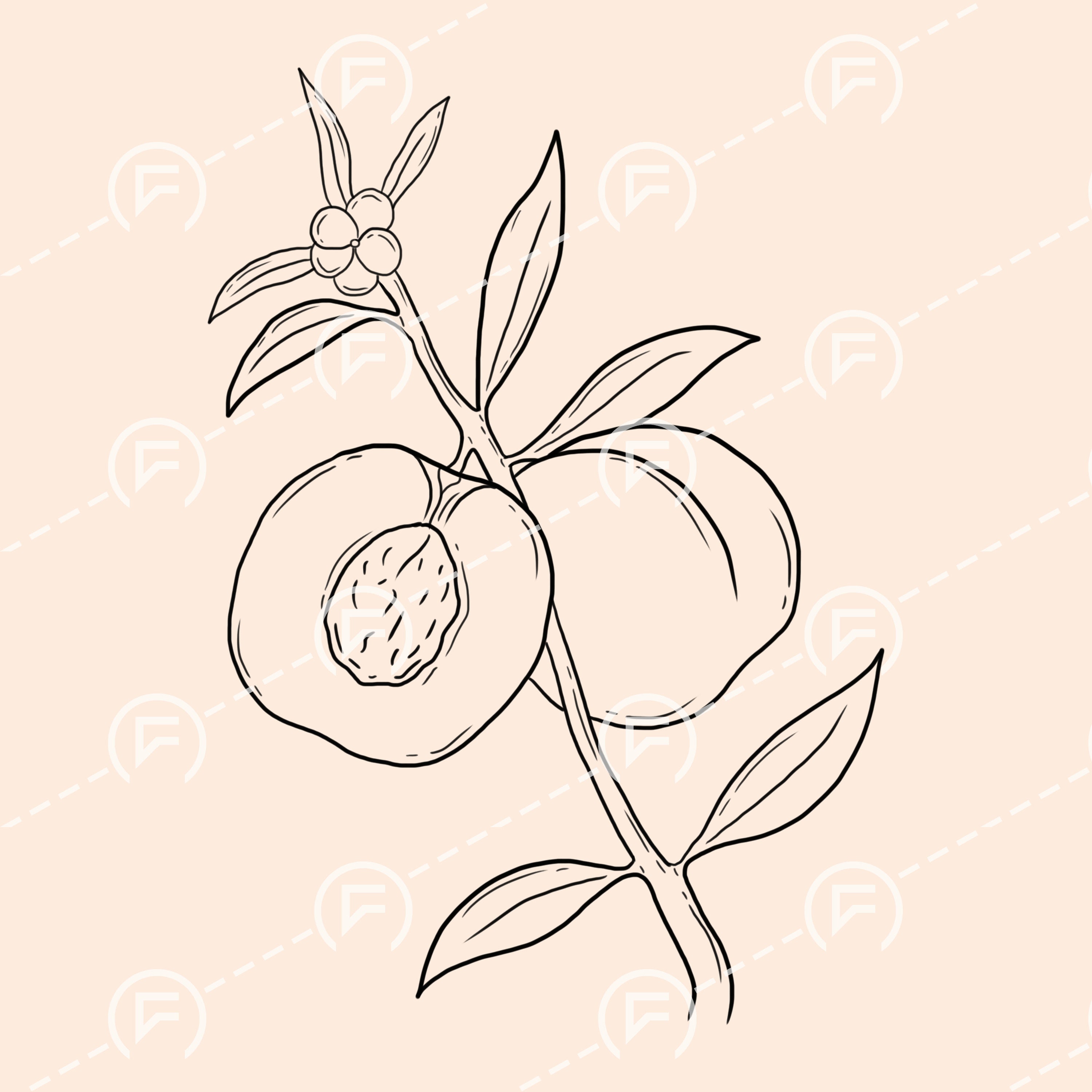 Peach Branch, Botanical, Simple Line Art, Line Art, Drawing, Digital ...