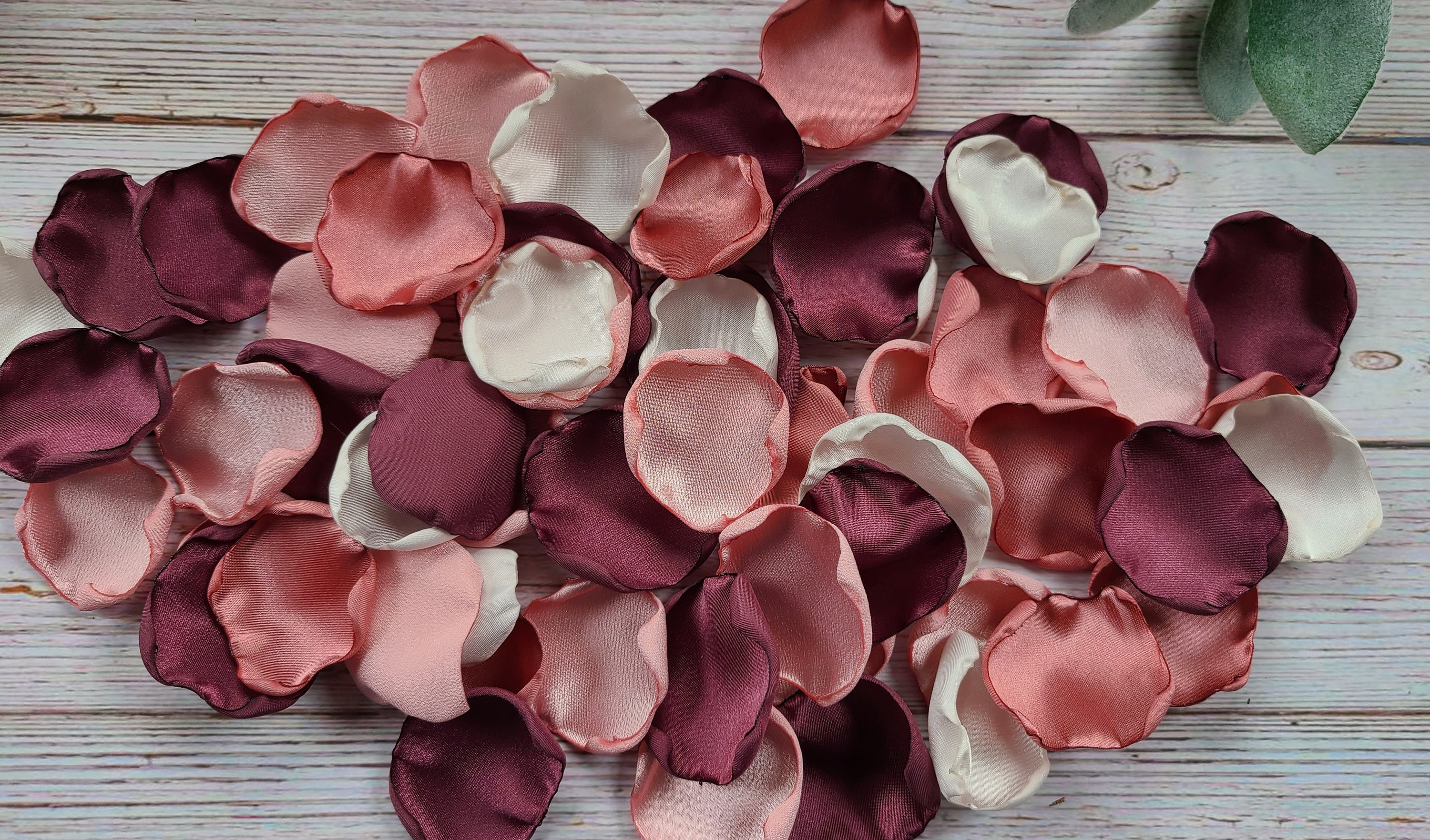 Chianti Wedding Decor Dusty Pink Rose Petals Rustic Wedding | Etsy