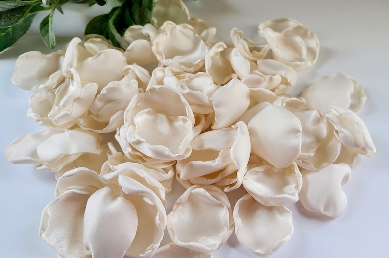 Ivory Rose Petals, Earthy Neutral Wedding, Flower Petals, Wildflower ...