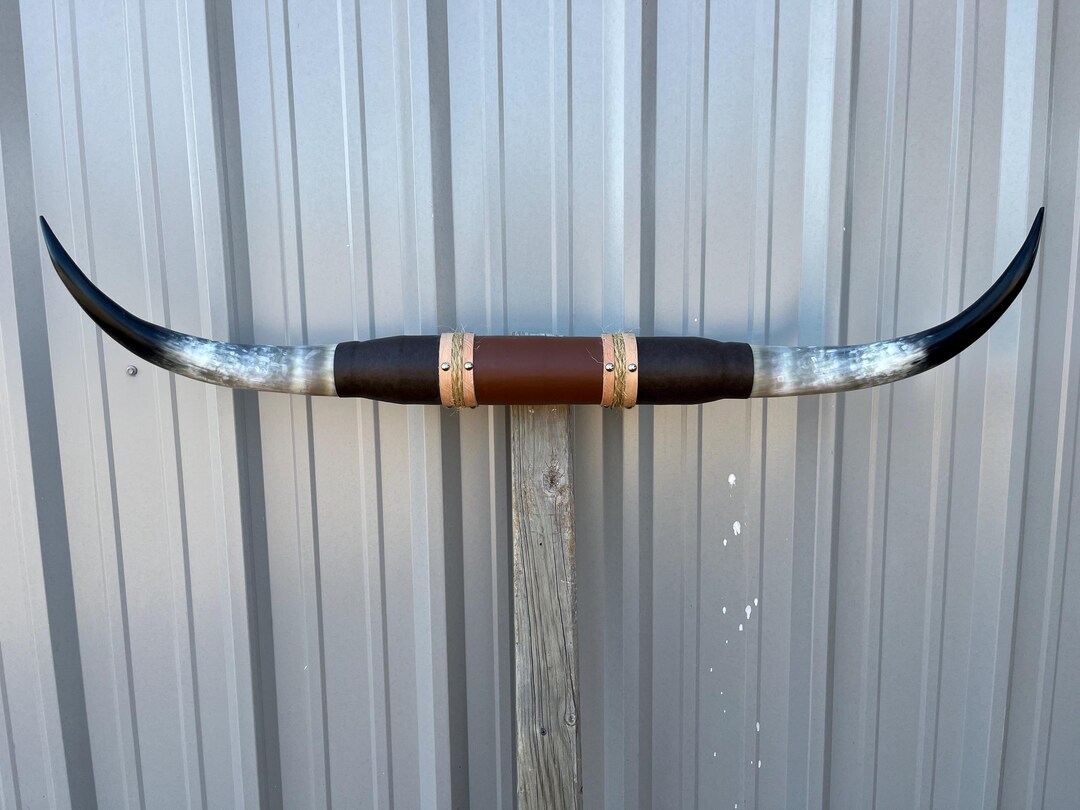 Mounted Steer Horn 3 Feet 11 Inch Wide Polished Cow Horns Bull Western ...