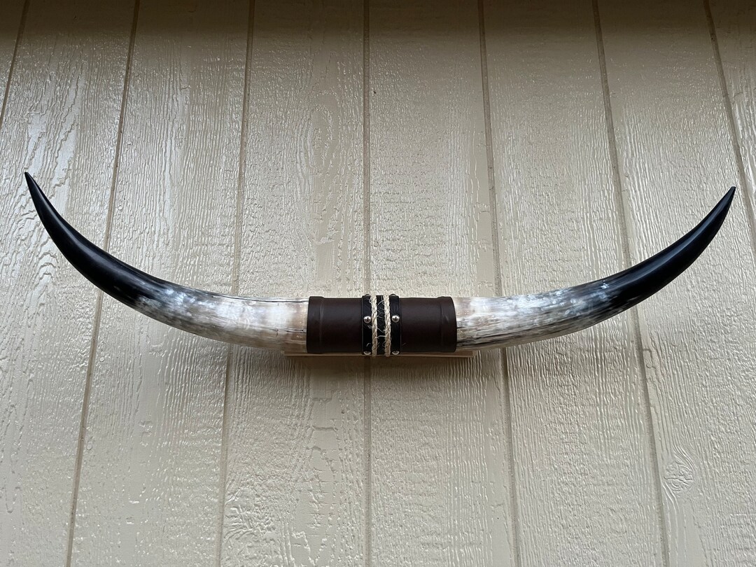 Mounted Steer Horn 33 1/2 INCH Polished Cow Horns Bull - Etsy