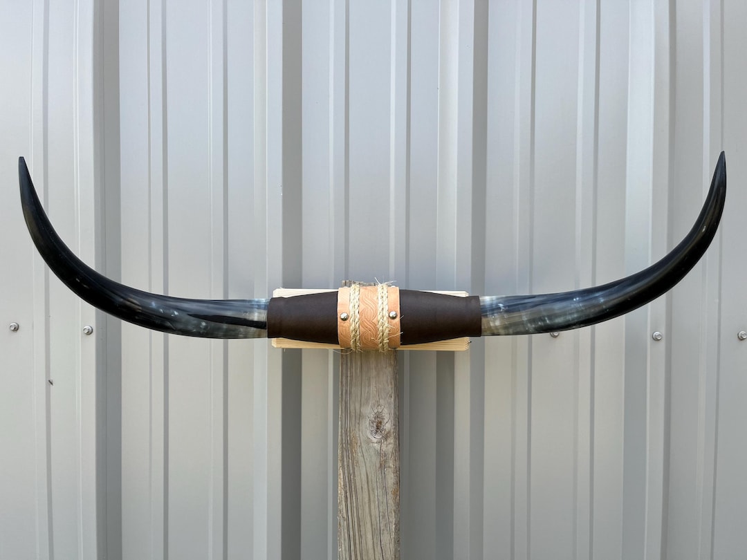 Mounted Steer Horn 30 Inch WIDE Polished Cow Horns Bull Western ...