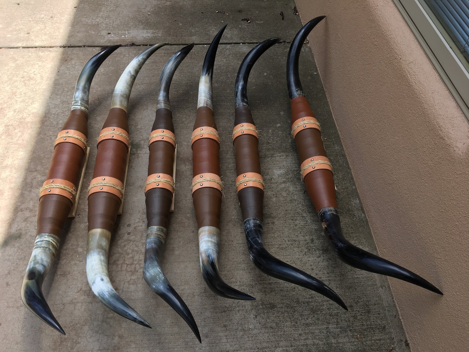 Mounted Steer Horn 4 Feet 1” Wide to 4 Feet 9" Inch (one Only) Polished ...